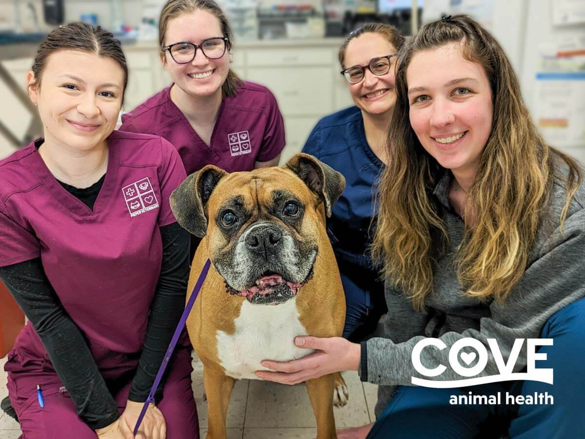 Cove Animal Health - Home
